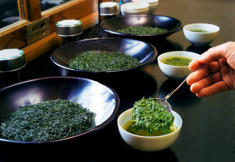 Shiro Matcha | OUR MATCHA – Shiro-Matcha